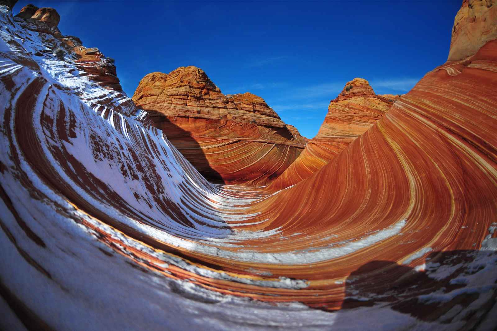 26 fascinantes visitas recomendadas en Arizona